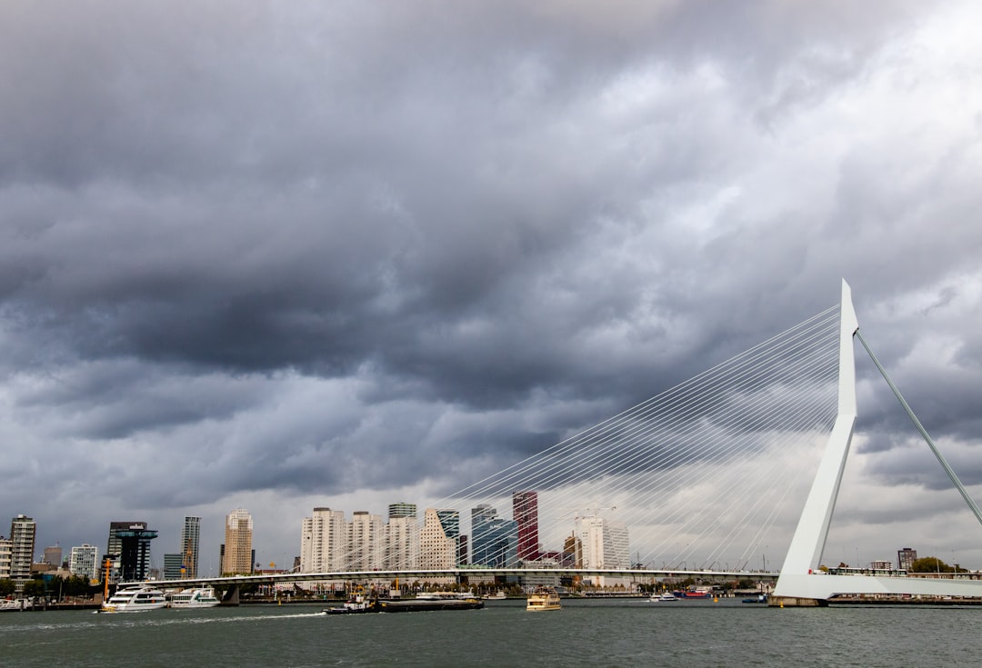 Rotterdam, de stad met de meeste nationaliteiten van Nederland ...